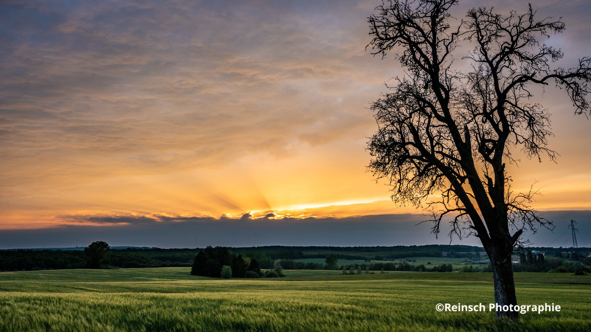 Dans les cieux avec Frédéric Reinsch - Mosaik Cristal