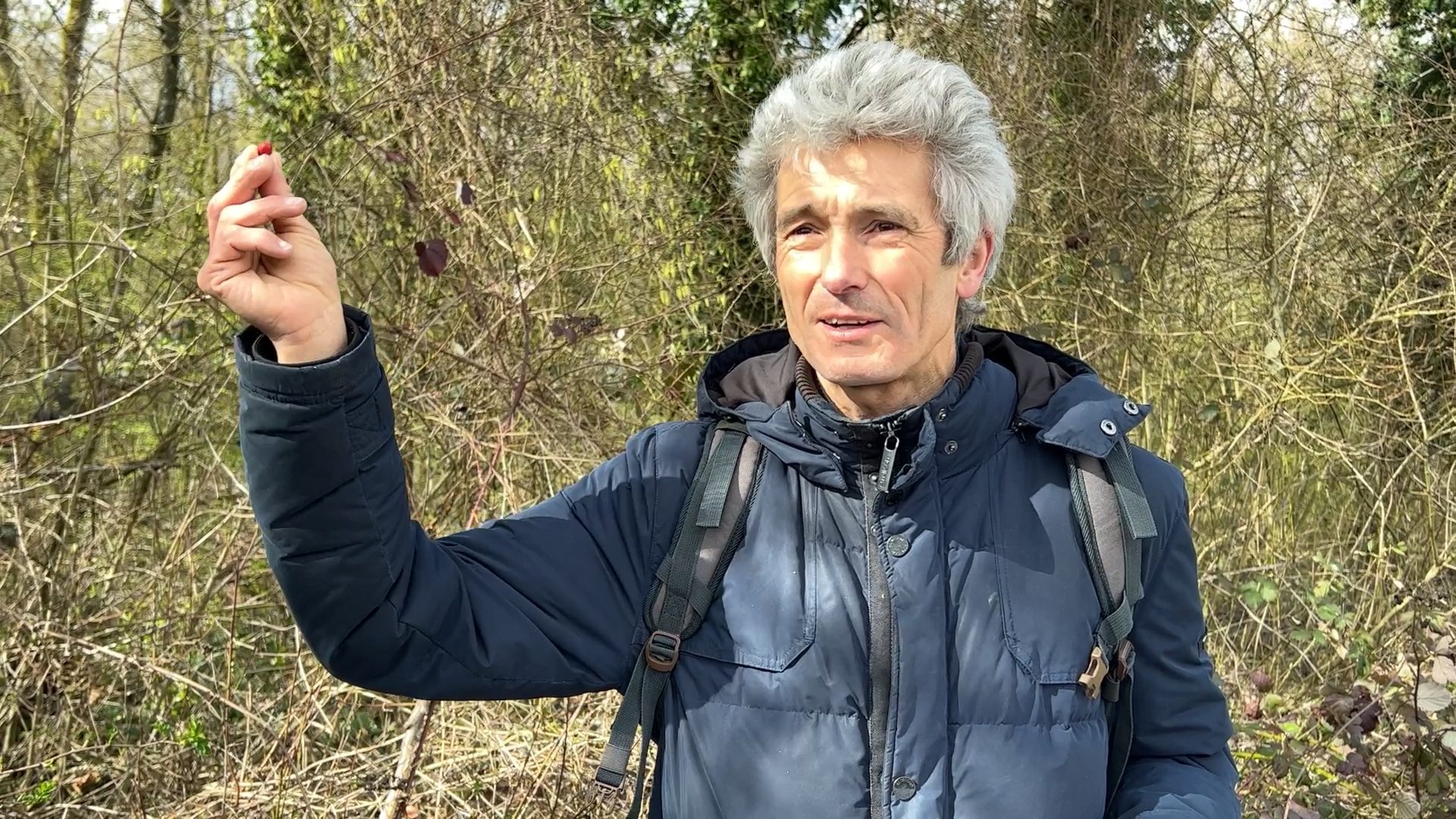 Une balade pour découvrir les trésors de la forêt avec Michel Greff - Mosaik Cristal
