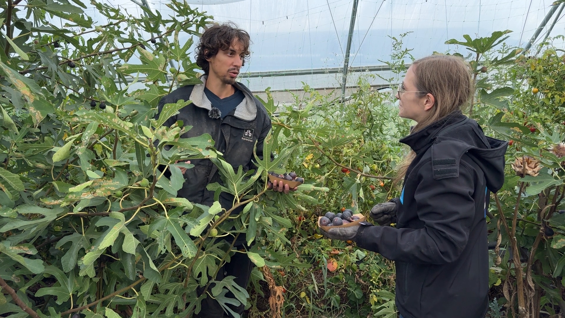 En immersion... à la ferme Affable - Mosaik Cristal